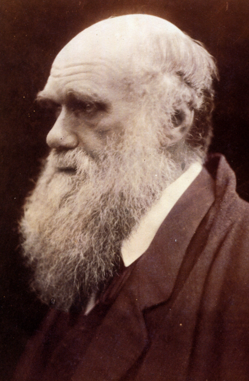 Introduction to natural selection