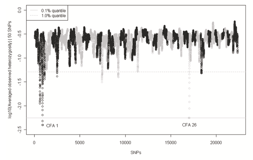 Selection and linkage